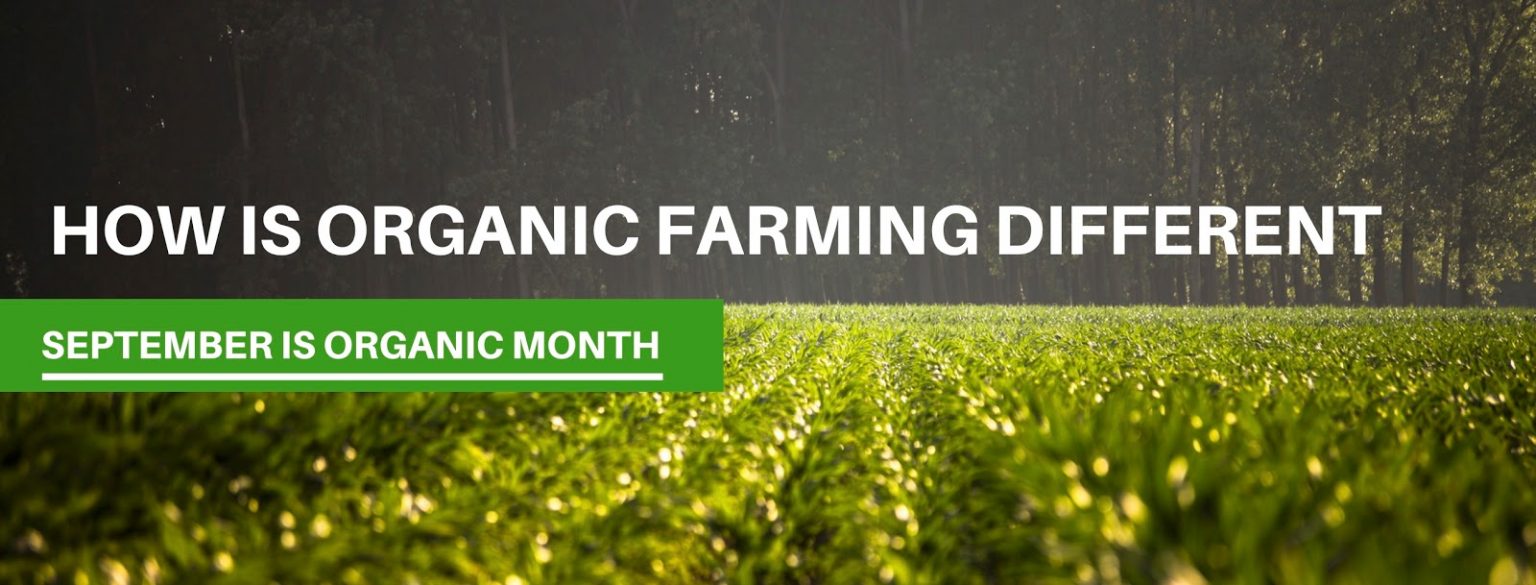 September Is Organic Month- How Is Organic Farming Different | Buildings-UK